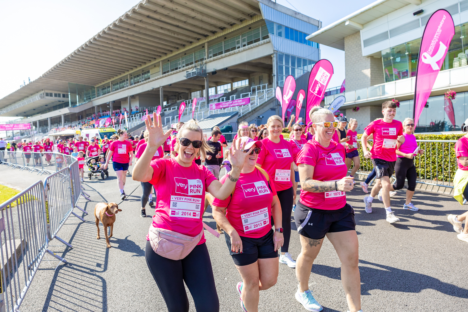 Very Pink Run 2024 - Dublin Gallery - Very Pink Run